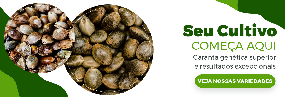 Niko De Jah – Quality seeds